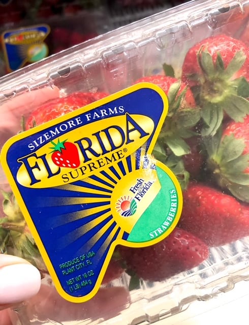 Fresh From Florida Finds • Balancing Pieces